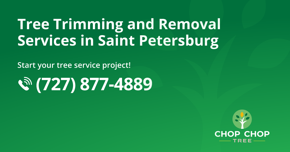 Tree Removal & Tree Services in Saint Petersburg | Chop Chop Tree